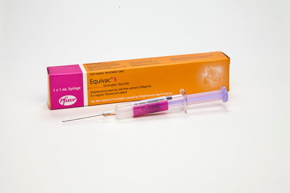 Zoetis Equivac S 1ml Syringe – Valley Feeds & General